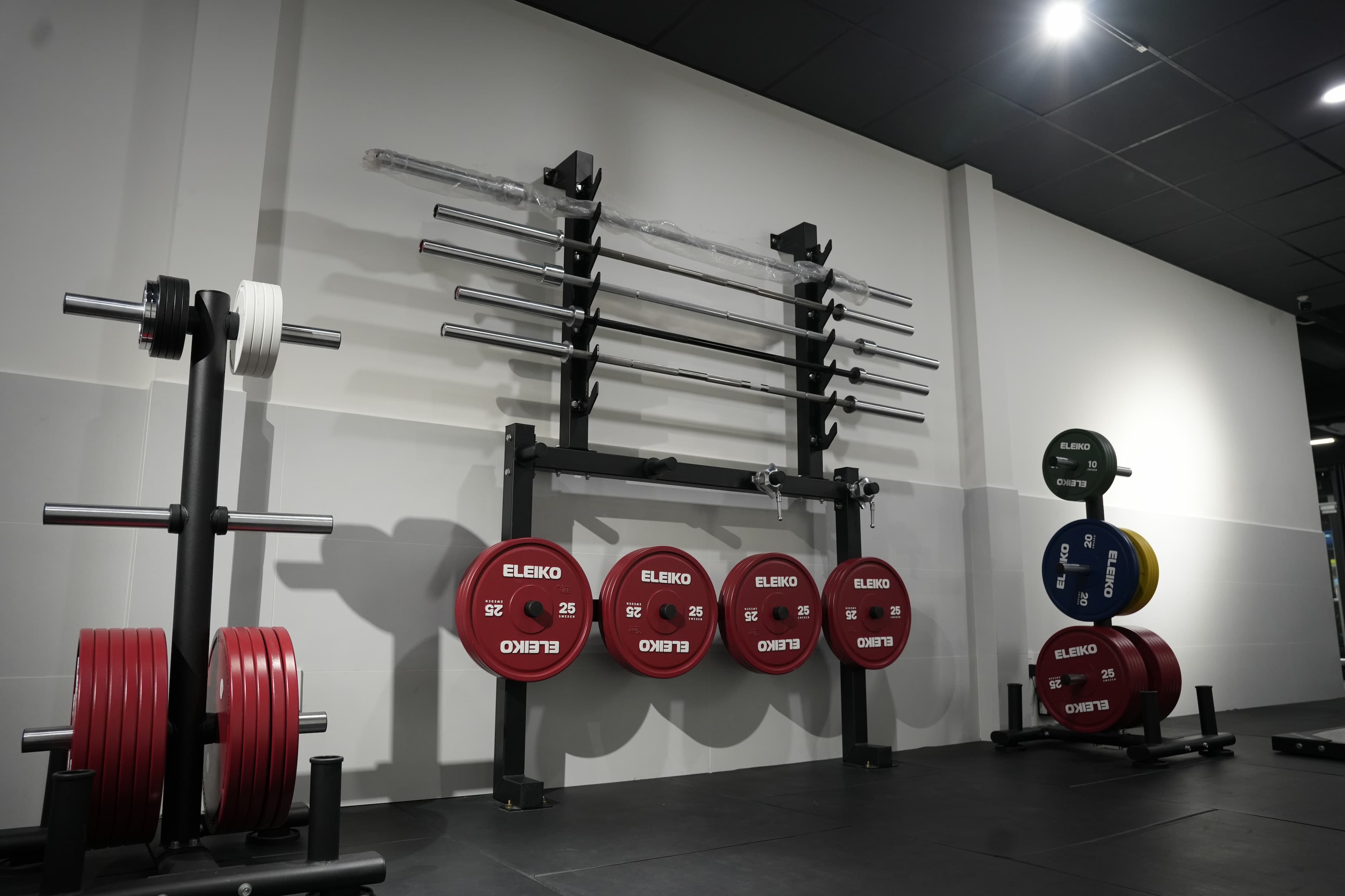 Dragon Prime Gym