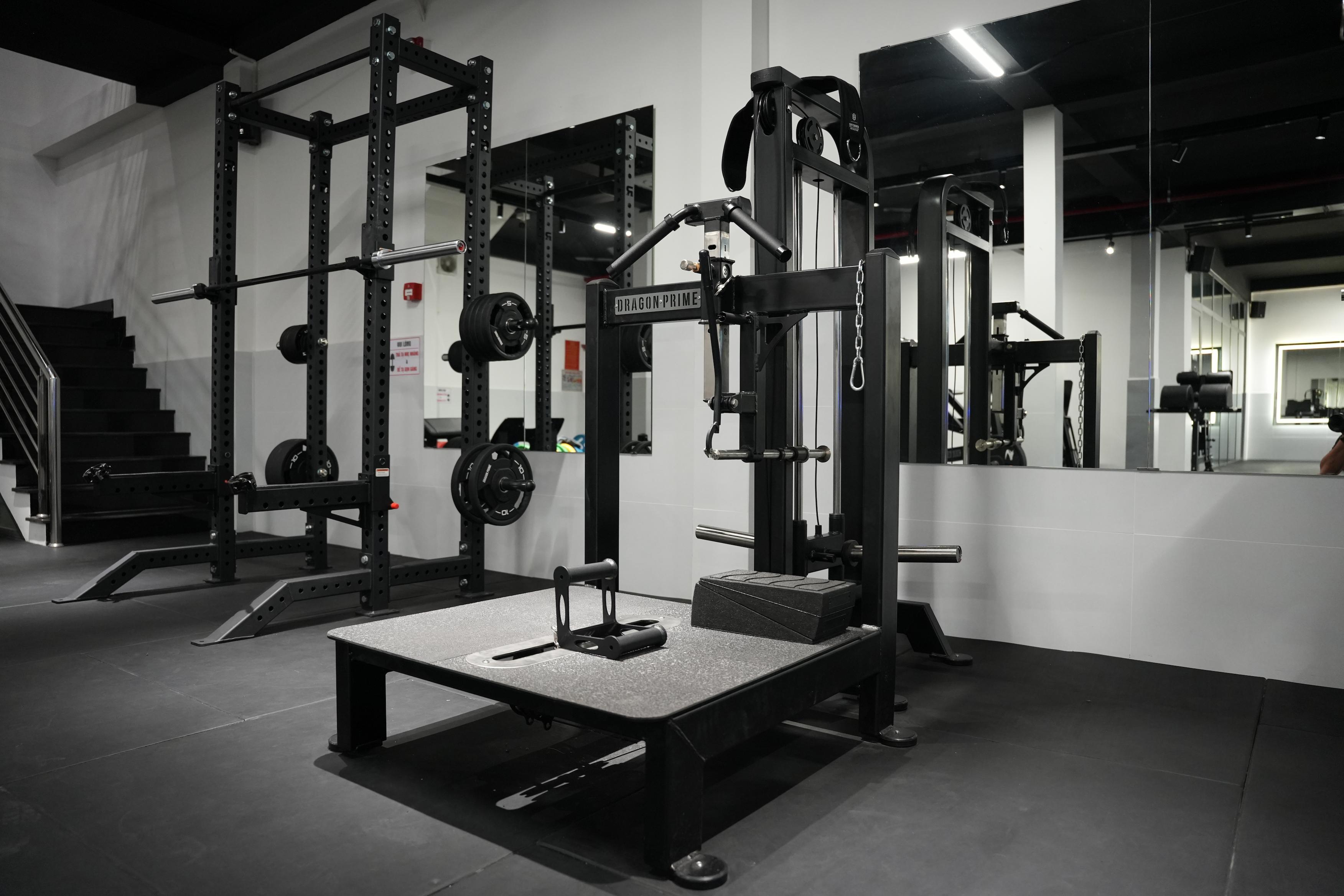 Dragon Prime Gym