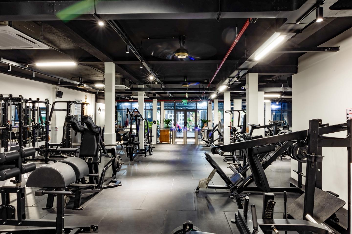 Dragon Prime Gym